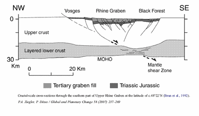 brun.GIF — Eduterre