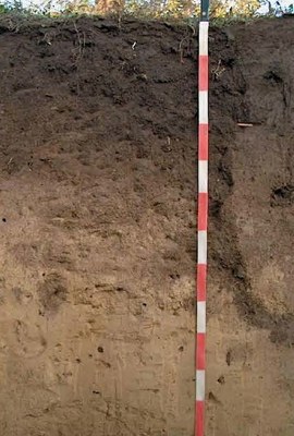 Chernoziom — Eduterre