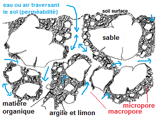Porosité et perméabilité — Eduterre