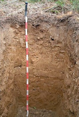 Regosol — Eduterre