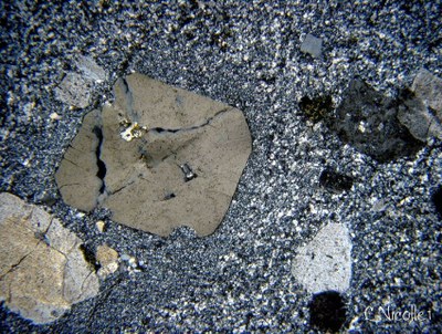 rhyolite LPA — Eduterre